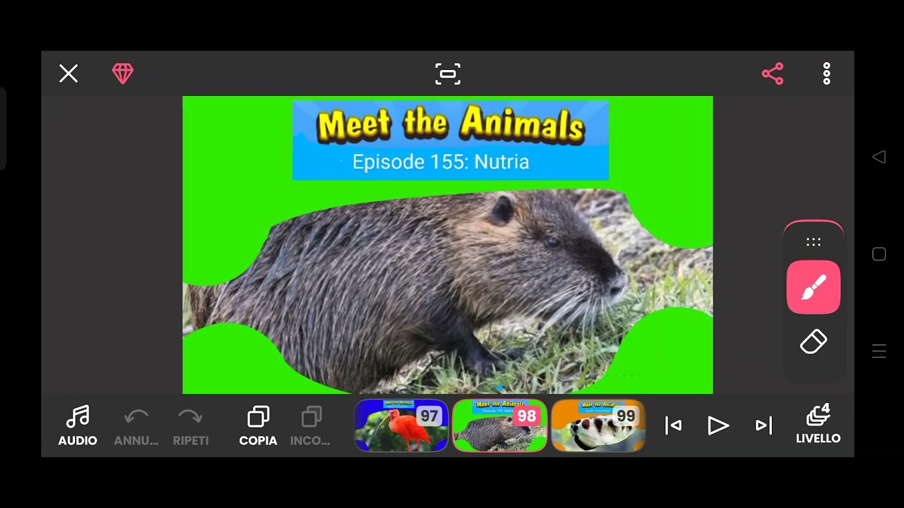 Little Fox Meet the Animals 8 - YouTube