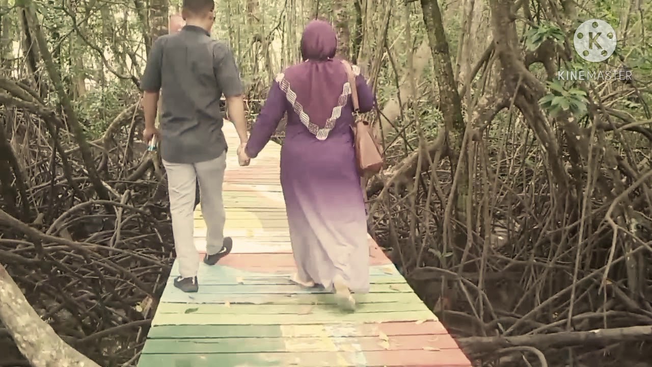 super go91 pitas mangrove @ rosob - YouTube