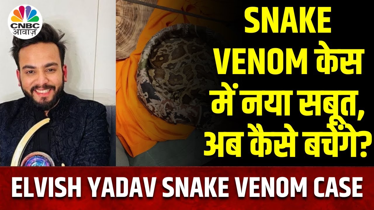 Elvish Yadav Snake Venom Case: अब एल्विश यादव का बचना मुश्किल, ये नया ...