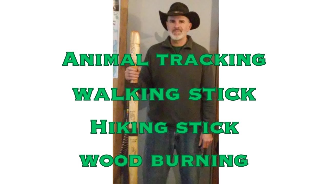 1st Animal tracking walking stick, hiking stick, tracking stick, cane ...