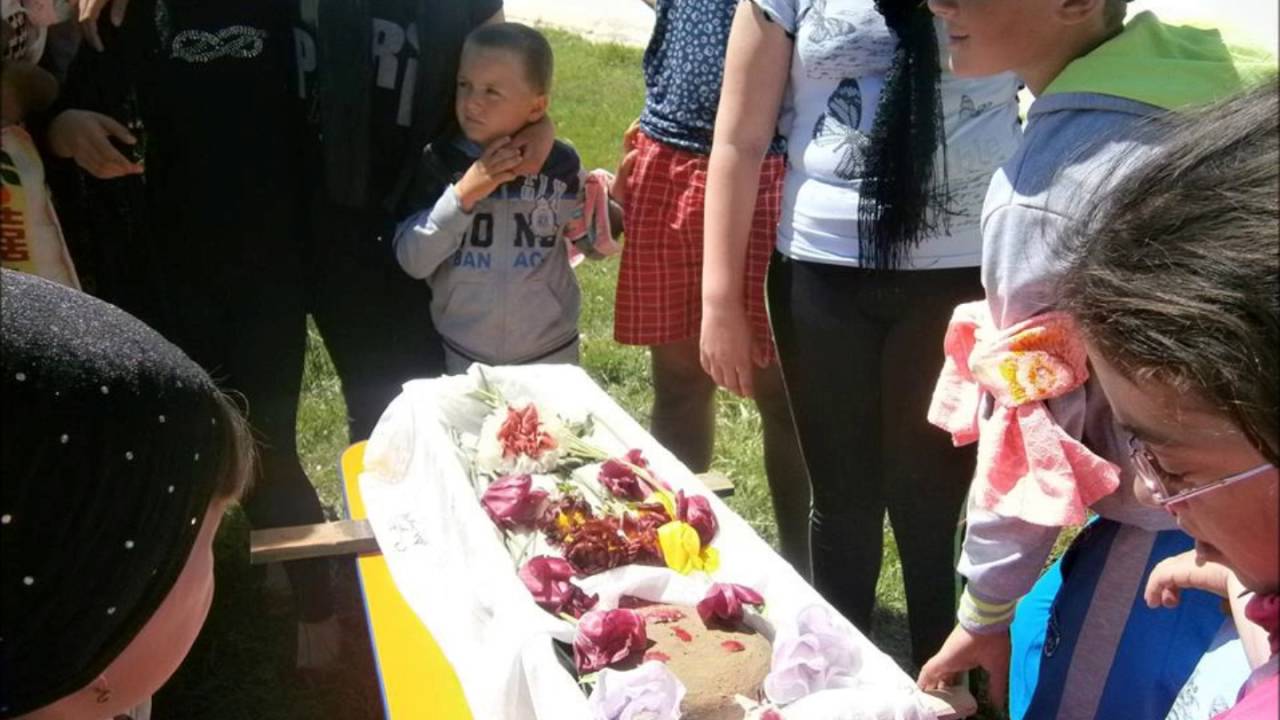 Caloianul Vlad Ștefanel Georgian - YouTube