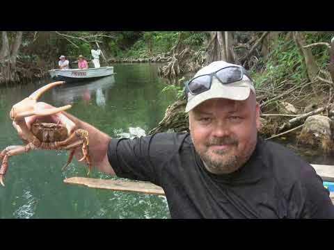 Guadeloupe & Dominica 2019 4K