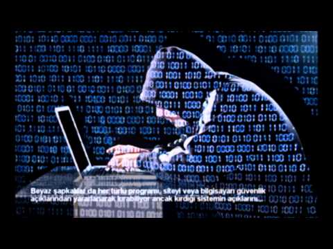8 Hacker Türü - Fikir Sahibi