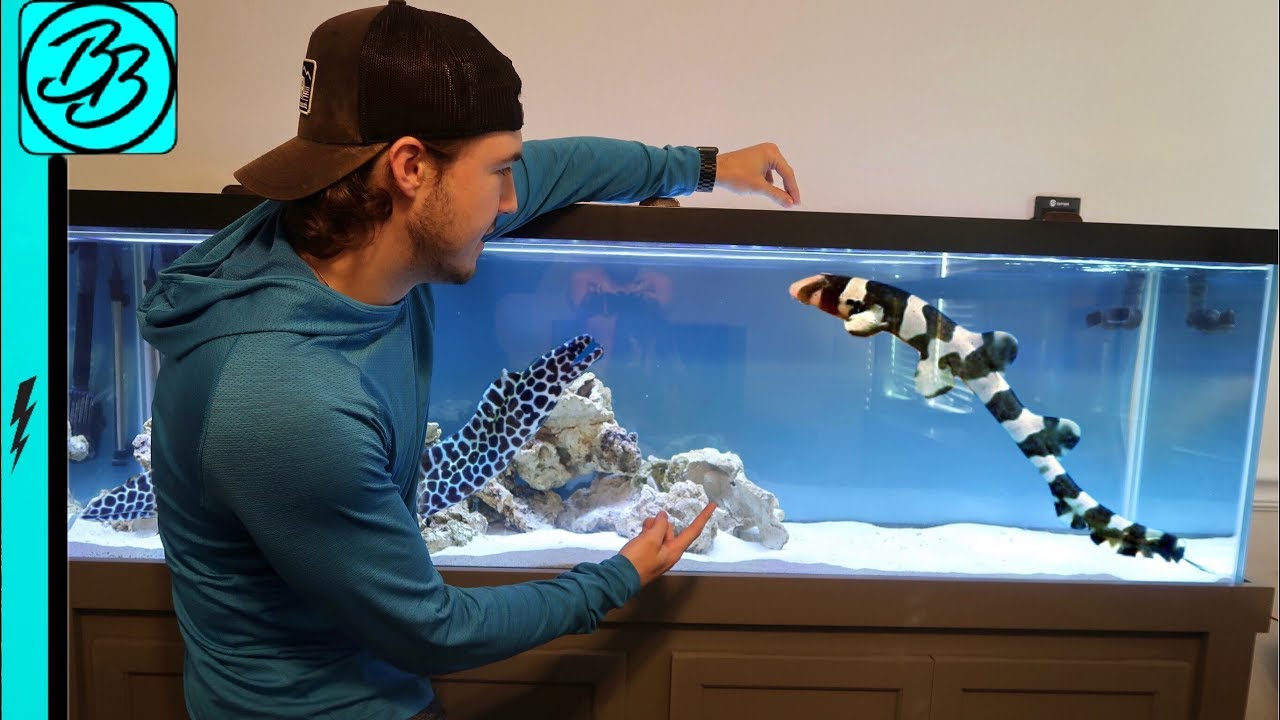 Meet the MOST INCREDIBLE Fish I've EVER Owned! - YouTube