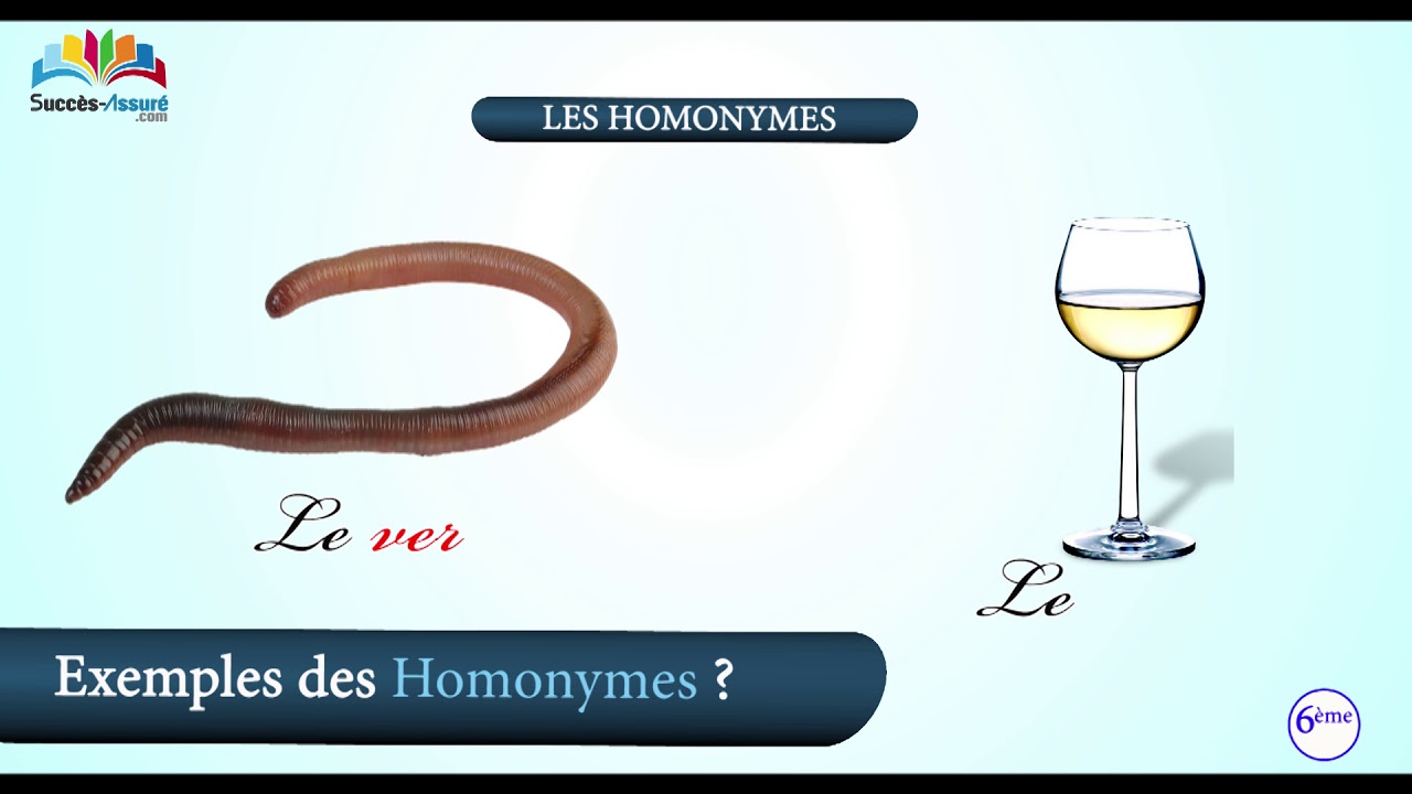 Homonymes et Synonymes - YouTube