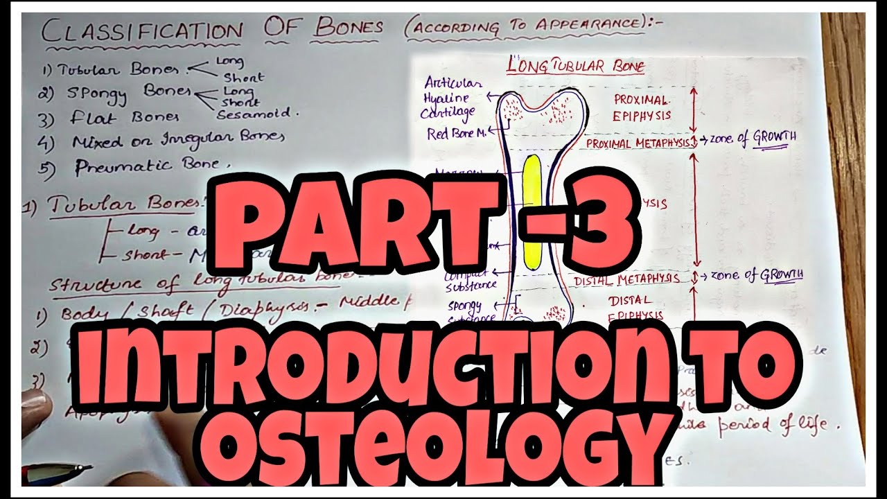 INTRODUCTION TO OSTEOLOGY|| CLASSIFICATION OF BONES || PART-3 - YouTube