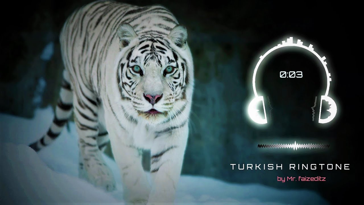 Sad Turkish Ringtone 2021 |New turkish song 2021|Turki Song Remix ...