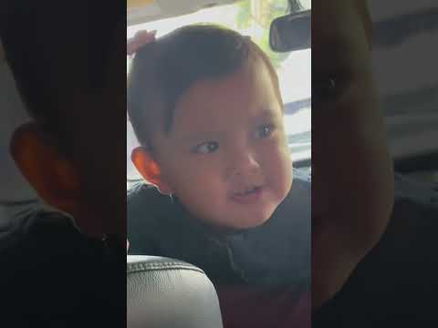 Dittt tolongin diitt