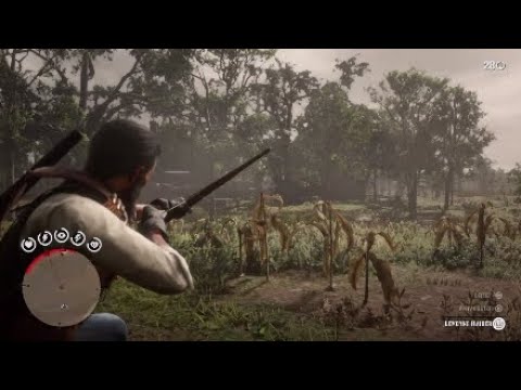 RDR2 - Weapons Expert 9 Easy Method - YouTube