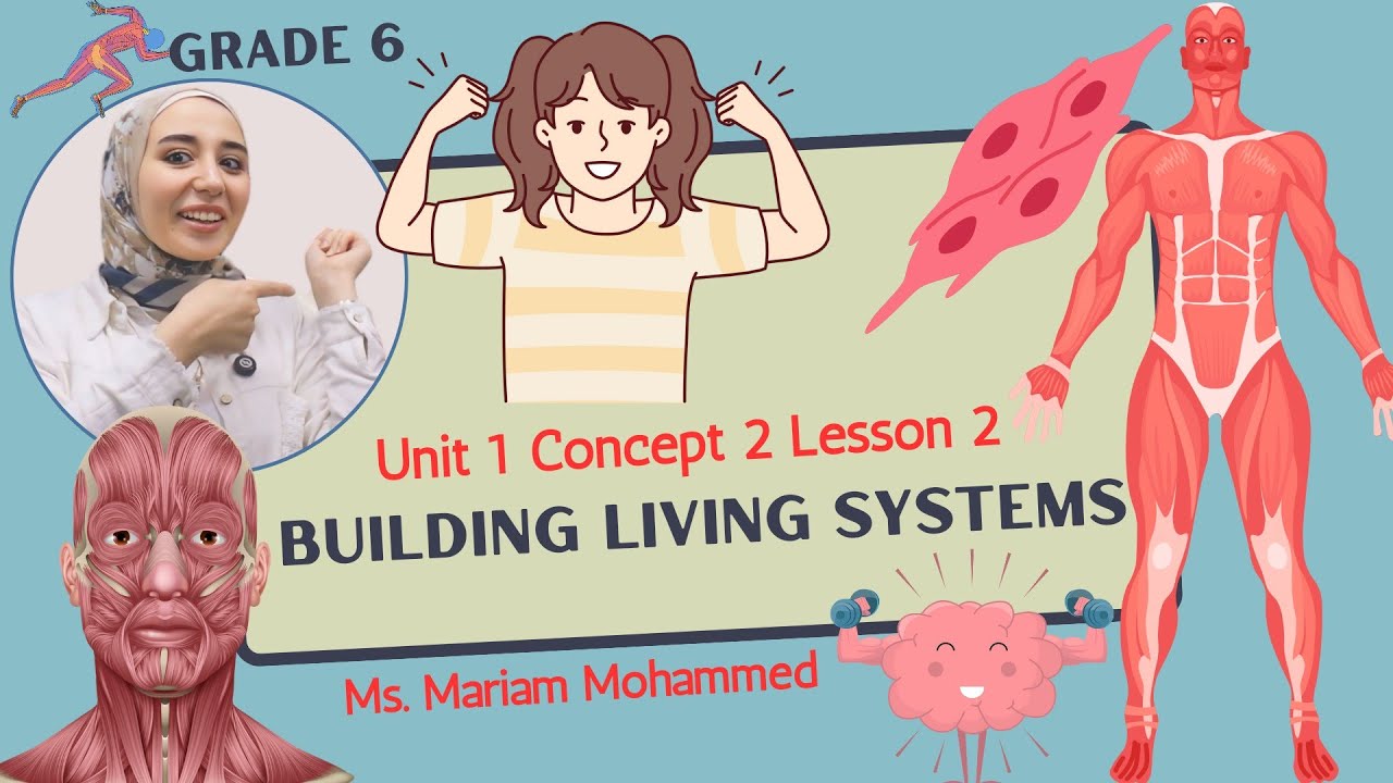 Grade 6 | Unit 1 | Concept 2 | Lesson 2 | Building living systems - YouTube