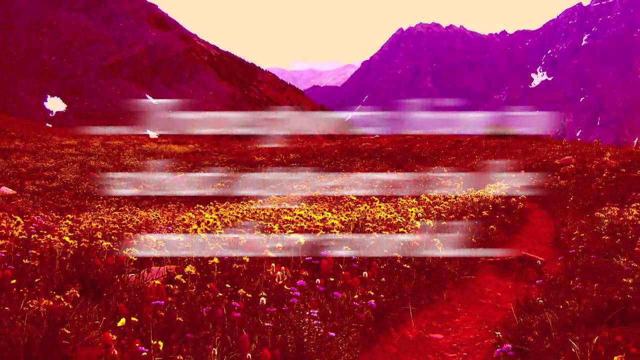 Book Trailer - The Transall Saga - YouTube