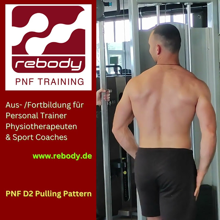 REBODY® PNF Training Modul 1 - Aus- / Fortbildung für Personal Trainer, Physiotherapeuten ...