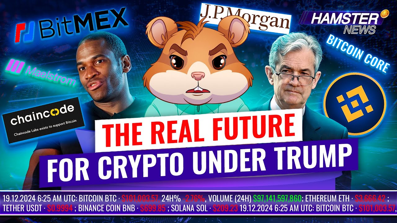 Combo Diário do Hamster Kombat de Hoje: Ganhe 5M de Moedas!