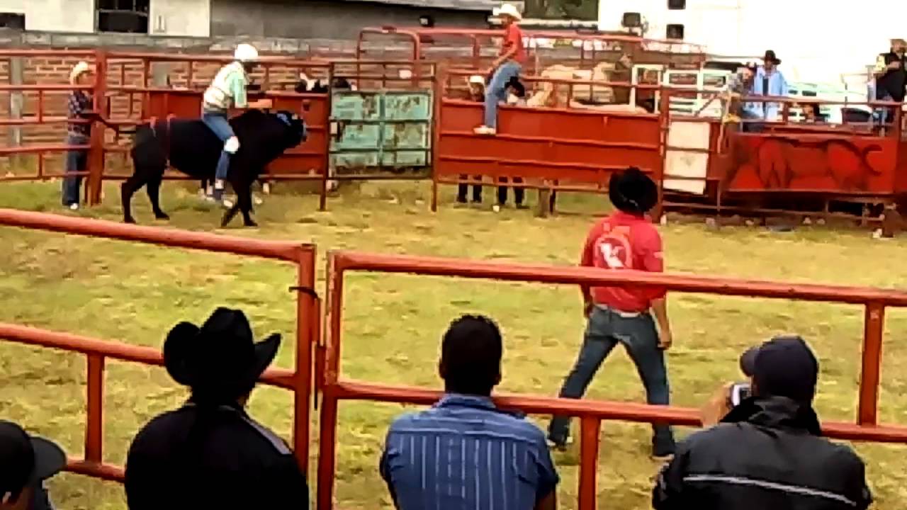 jaripeyasos en cerecuaro gto 2015 - YouTube