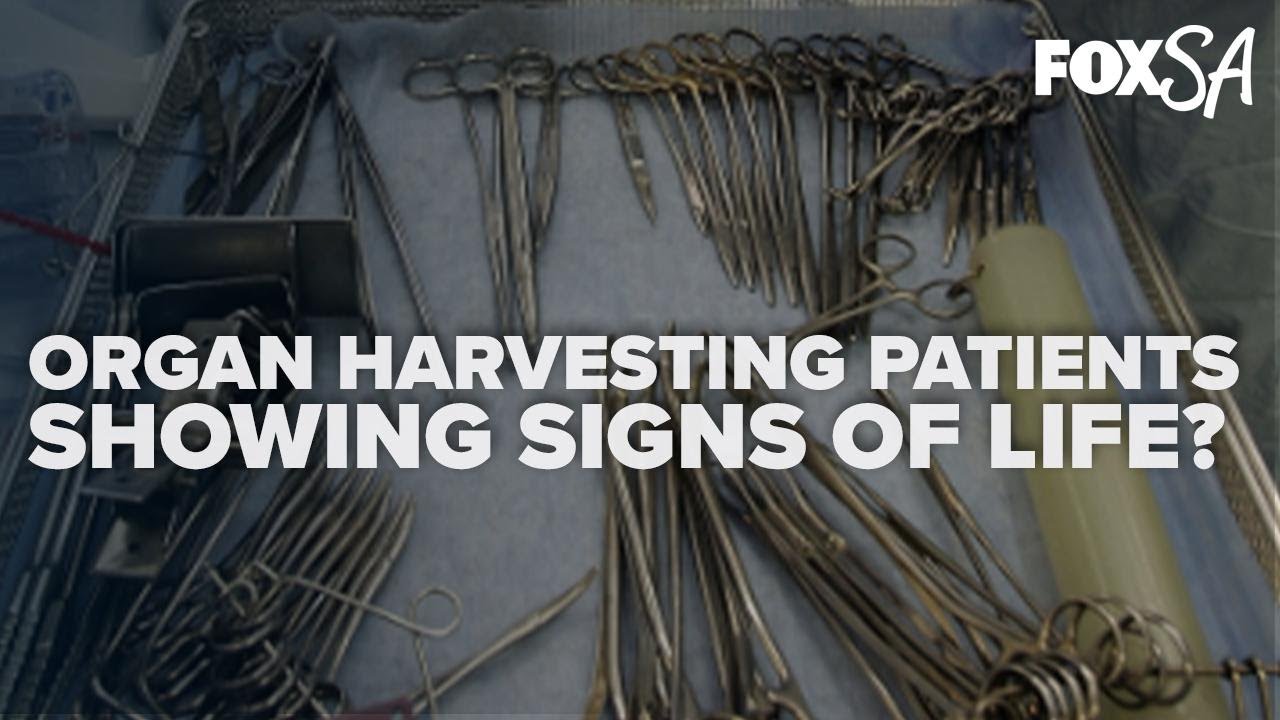 'Unethical': HHS report reveals organ harvesting while patients still ...