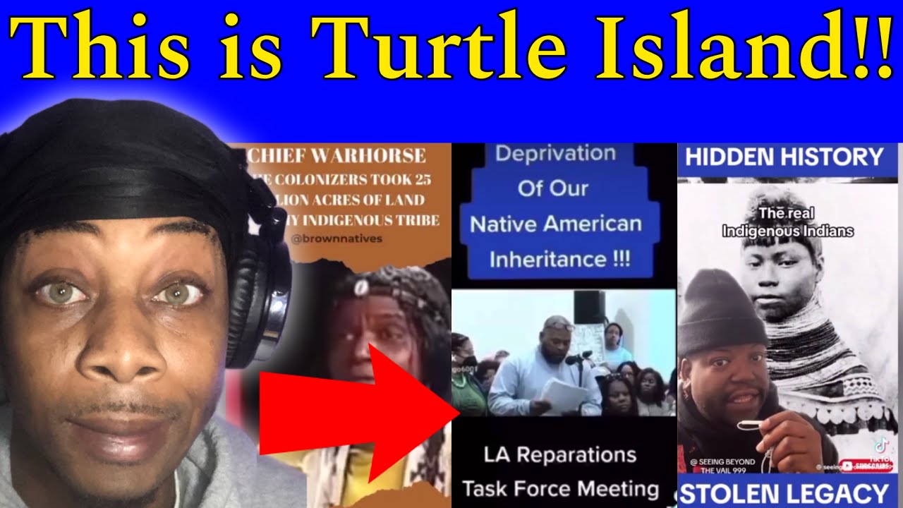 CREEPY & WOKE Turtle Island TikToks That Will Make You QUESTION Reality ...