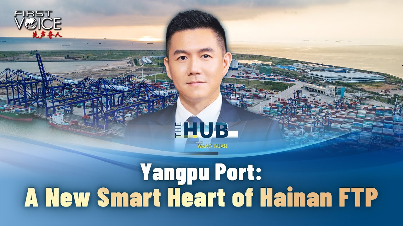 Yangpu Port: A New Smart Heart of Hainan FTP - YouTube