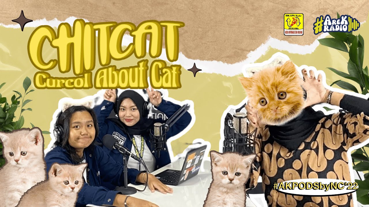 CHITCAT - Curcol About Cat || Ternyata UPN punya komunitas kucing!!🙀😻|| AKPODS vol.4 By NC22 ...