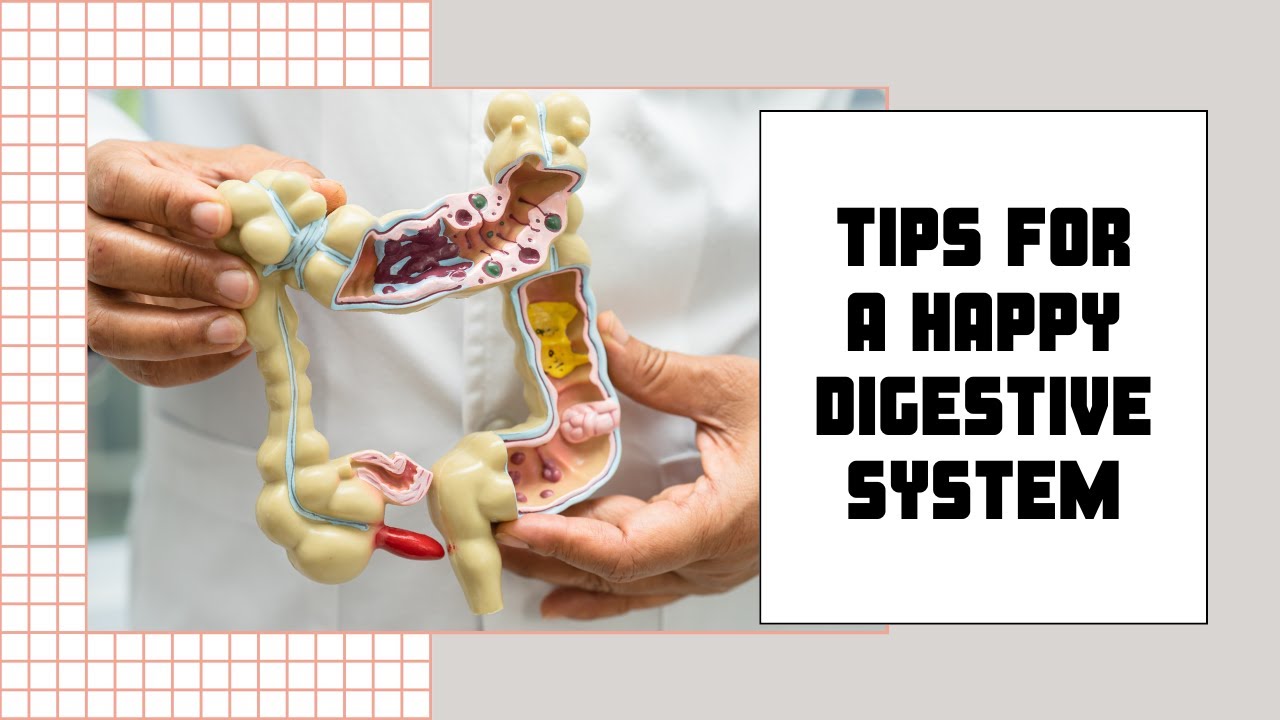 Gut Health 101: Tips for a Happy Digestive System - YouTube