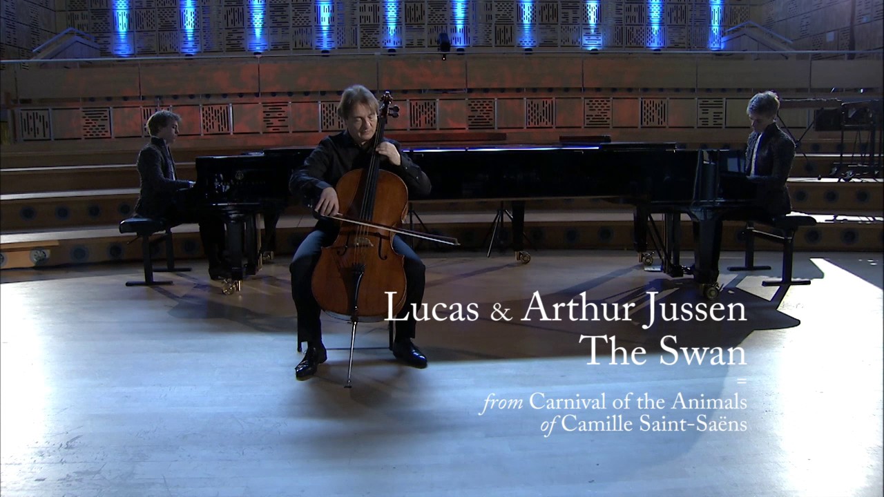 Lucas & Arthur Jussen - The Swan - Teaser - YouTube