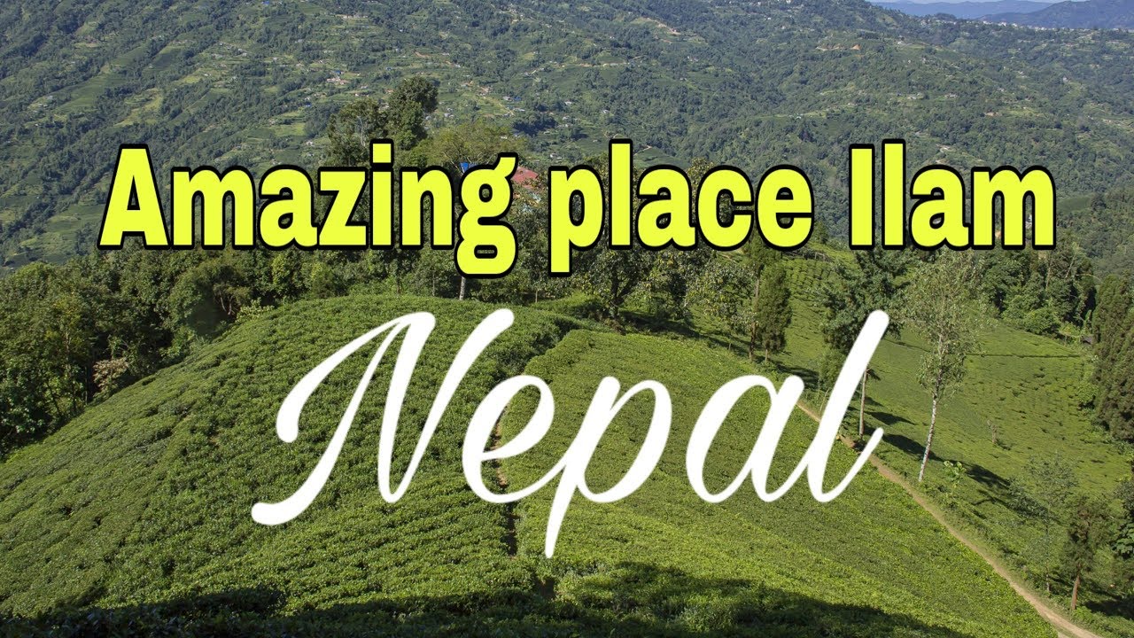 Ilam Nepal | Beautiful place of Nepal - YouTube