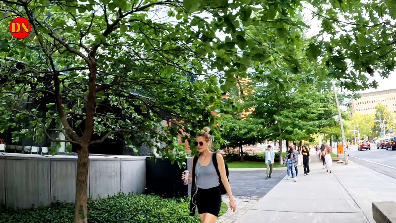 St George Street ( Aug 2023 ) Downtown Toronto - YouTube