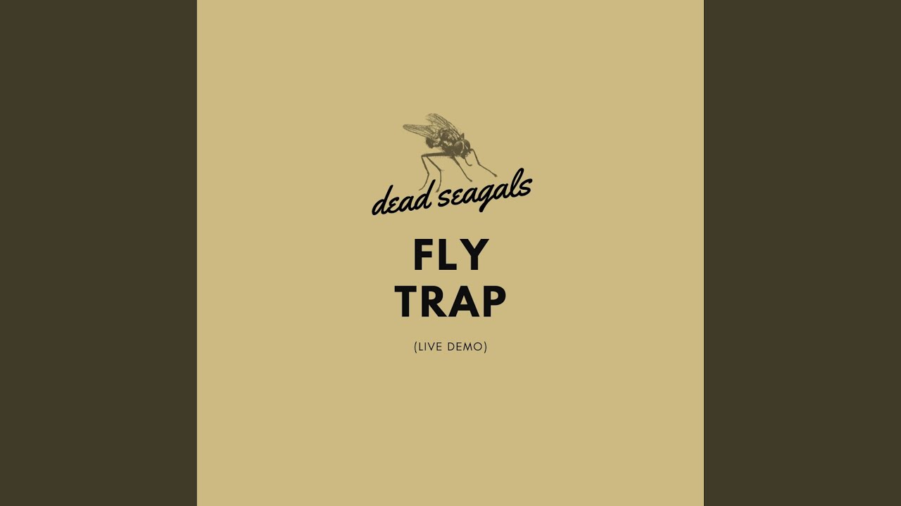 Fly Trap (Live Demo) - YouTube