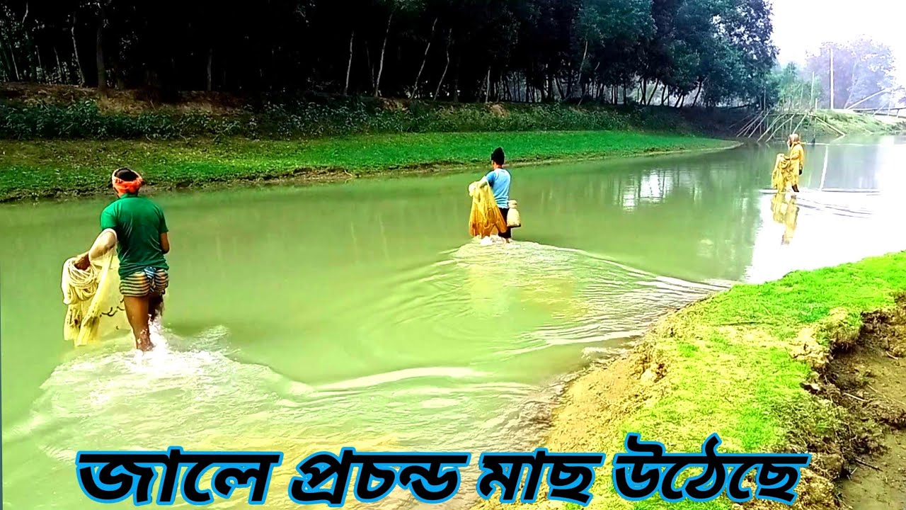 Cast net Fishing||Women net Fishing Videos in Friver|Bangladeshi Net ...