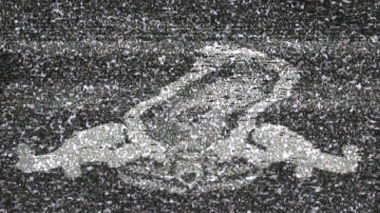 Severely Rotted Laserdisc - YouTube