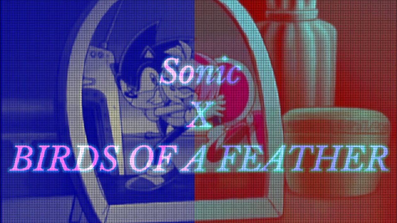 Sonic X BIRDS OF FEATHER | Sonamy AMV - YouTube