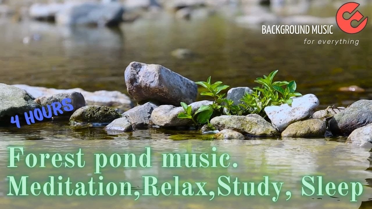 Forest pond music. - YouTube