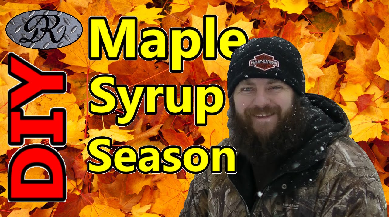 🍁 DIY Tapping Maple Trees | Preparing Organic Maple Syrup | Collecting ...