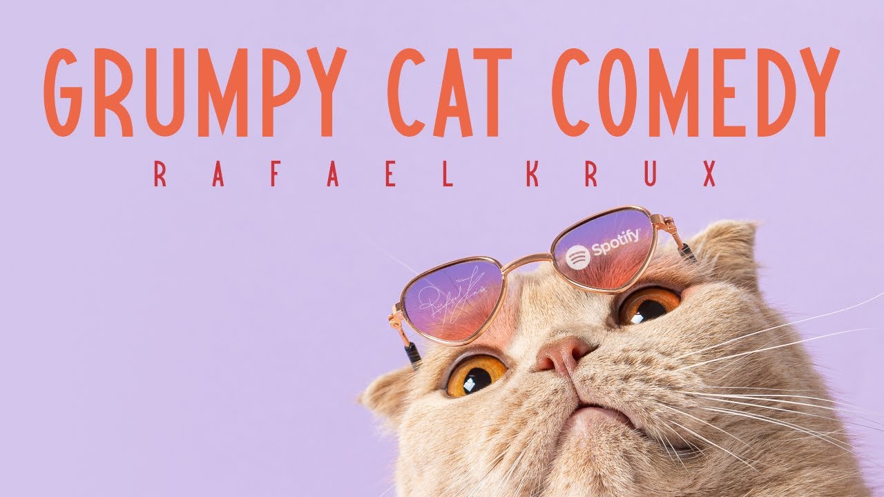 Grumpy Cat Comedy - YouTube