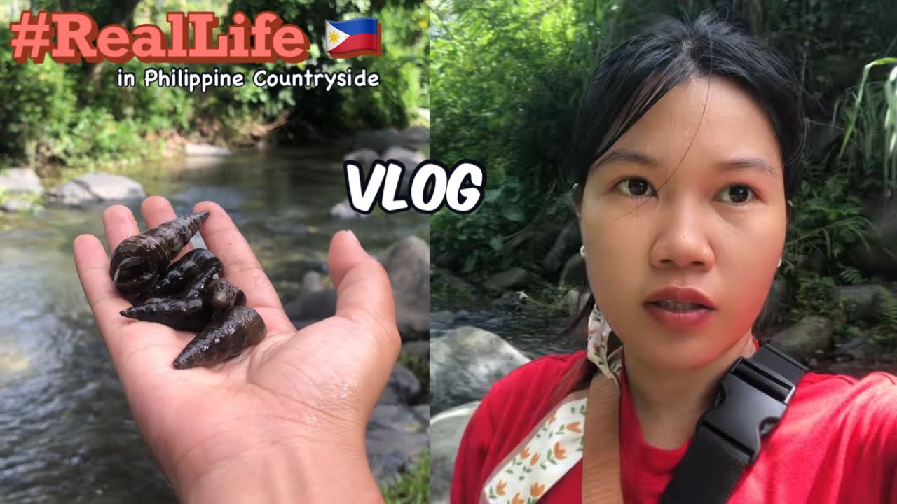 🇵🇭 HOW FILIPINA LIVES IN PHILIPPINE COUNTRYSIDE, CATCHING EDIBLE SNAILS ...