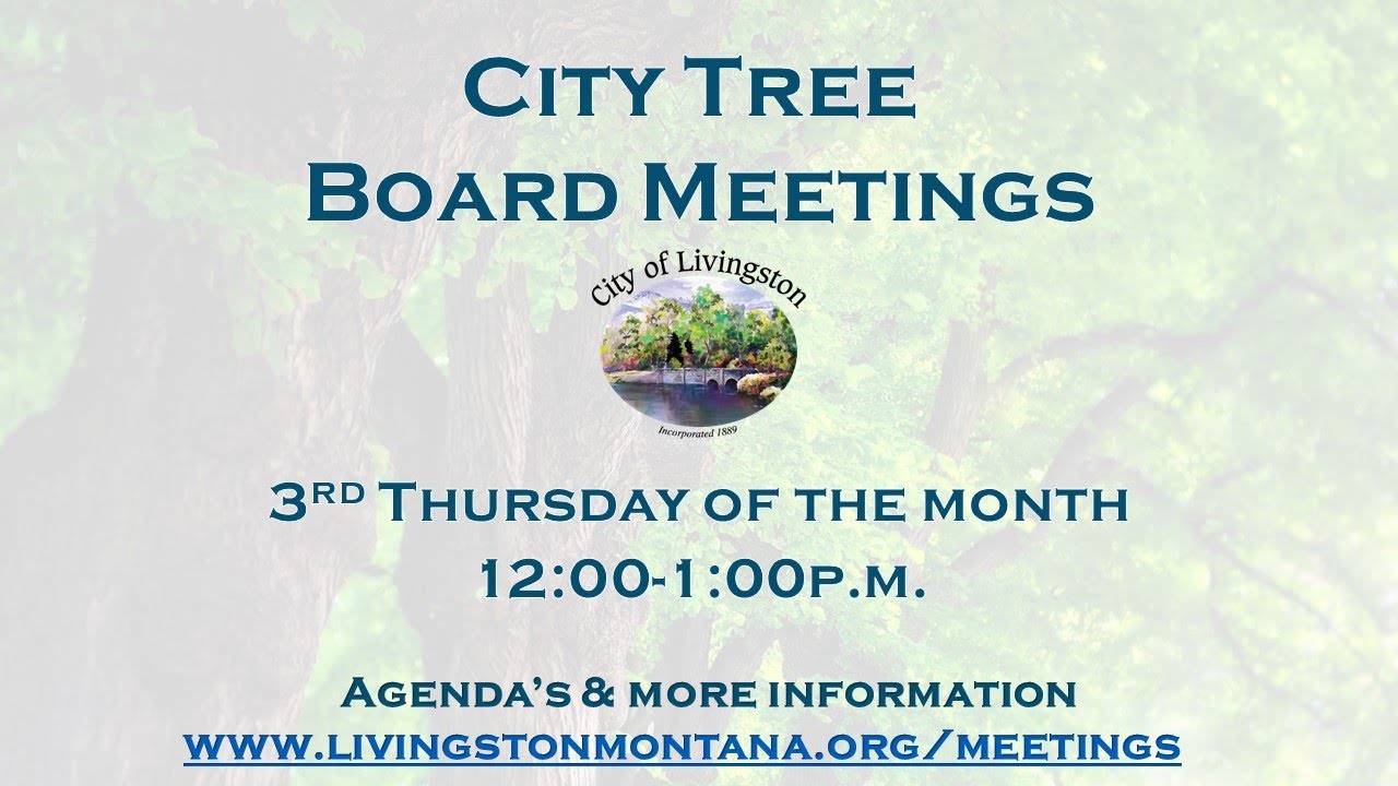 2023_02_16 City Tree Board Meeting - YouTube