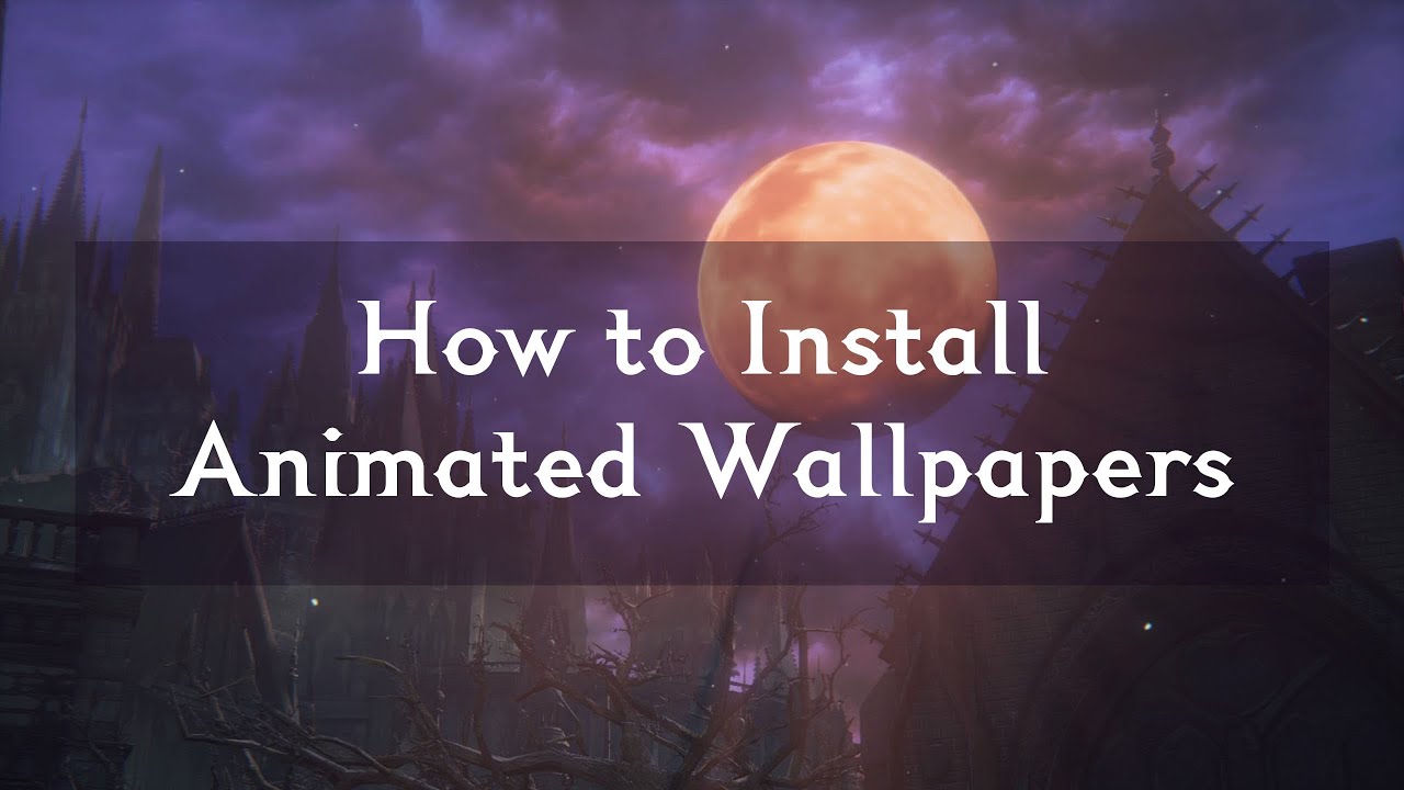 Intro to Animated Wallpaper Collection & How to Install Animated ...