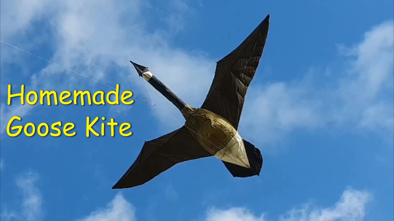 Eagle Kite Flying - Goose Kite - YouTube