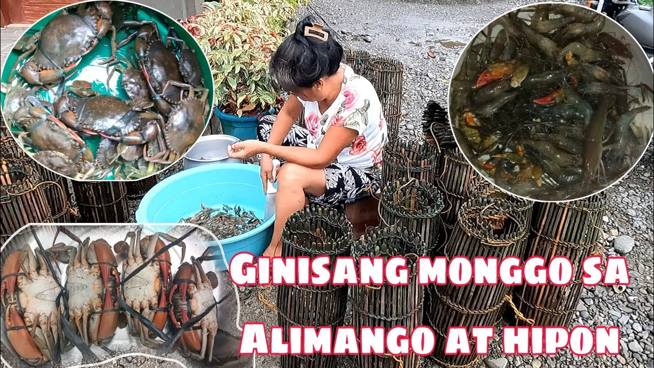 Nagpain sa ilog kahit malakas Ang ulan/ Ginisang monggo sa Alimango at ...