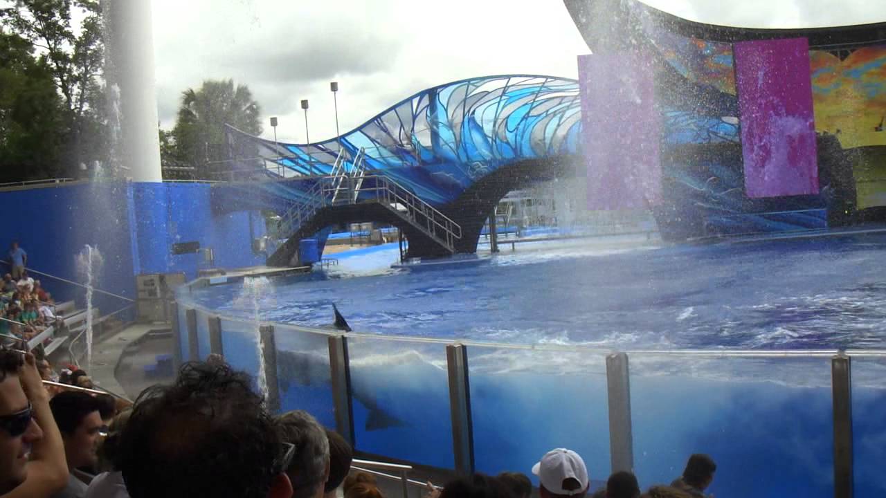 SeaWorld Orlando - SHAMU One Ocean show - YouTube