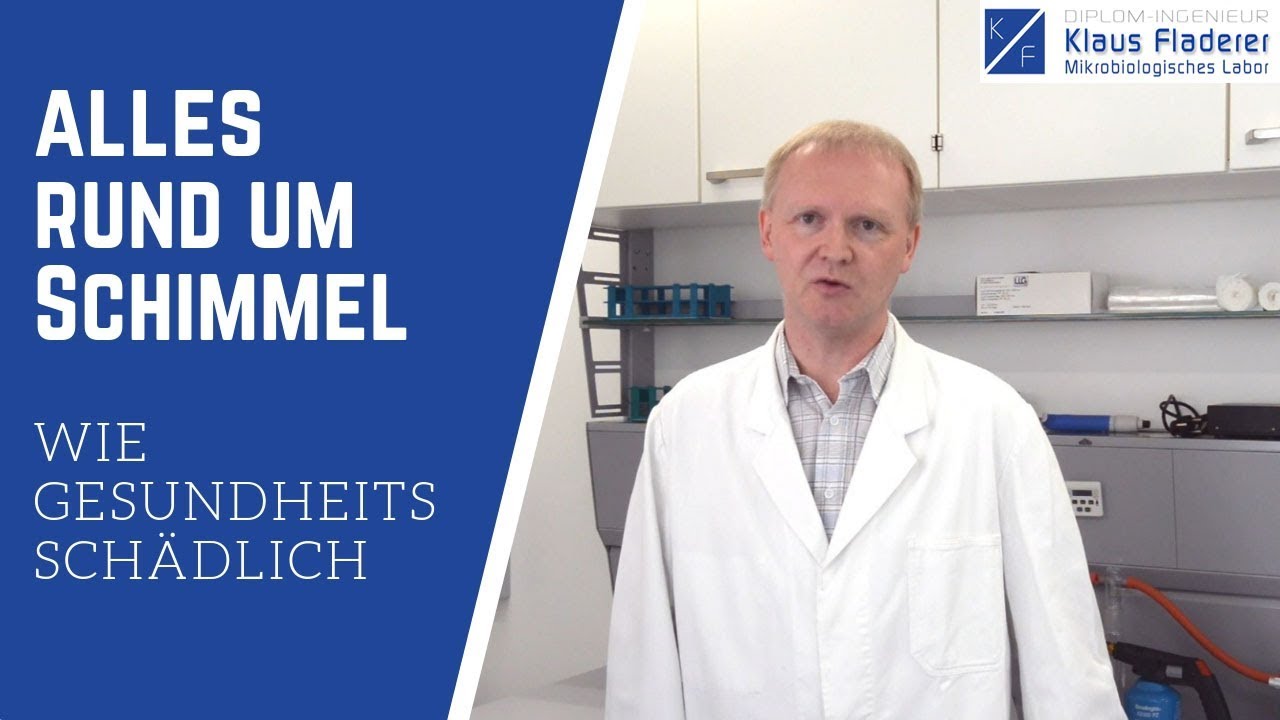 Wie gesundheitsschädlich ist Schimmel? Tipps vom Spezialisten Top Serie ...