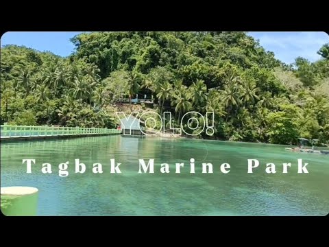 𝐓𝐚𝐠𝐛𝐚𝐤 𝐌𝐚𝐫𝐢𝐧𝐞 𝐏𝐚𝐫𝐤 - YouTube