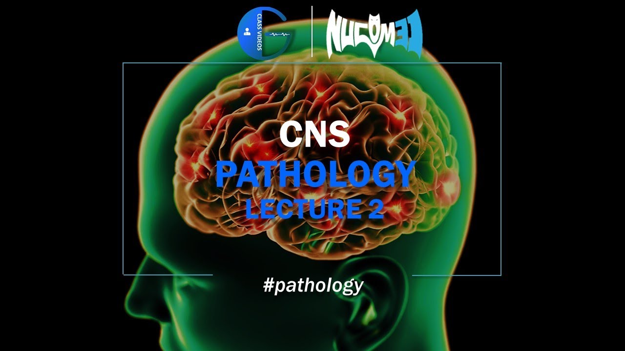 PATHOLOGY OF THE NERVOUS SYSTEM | LECTURE 2 | DR.QAIS - YouTube