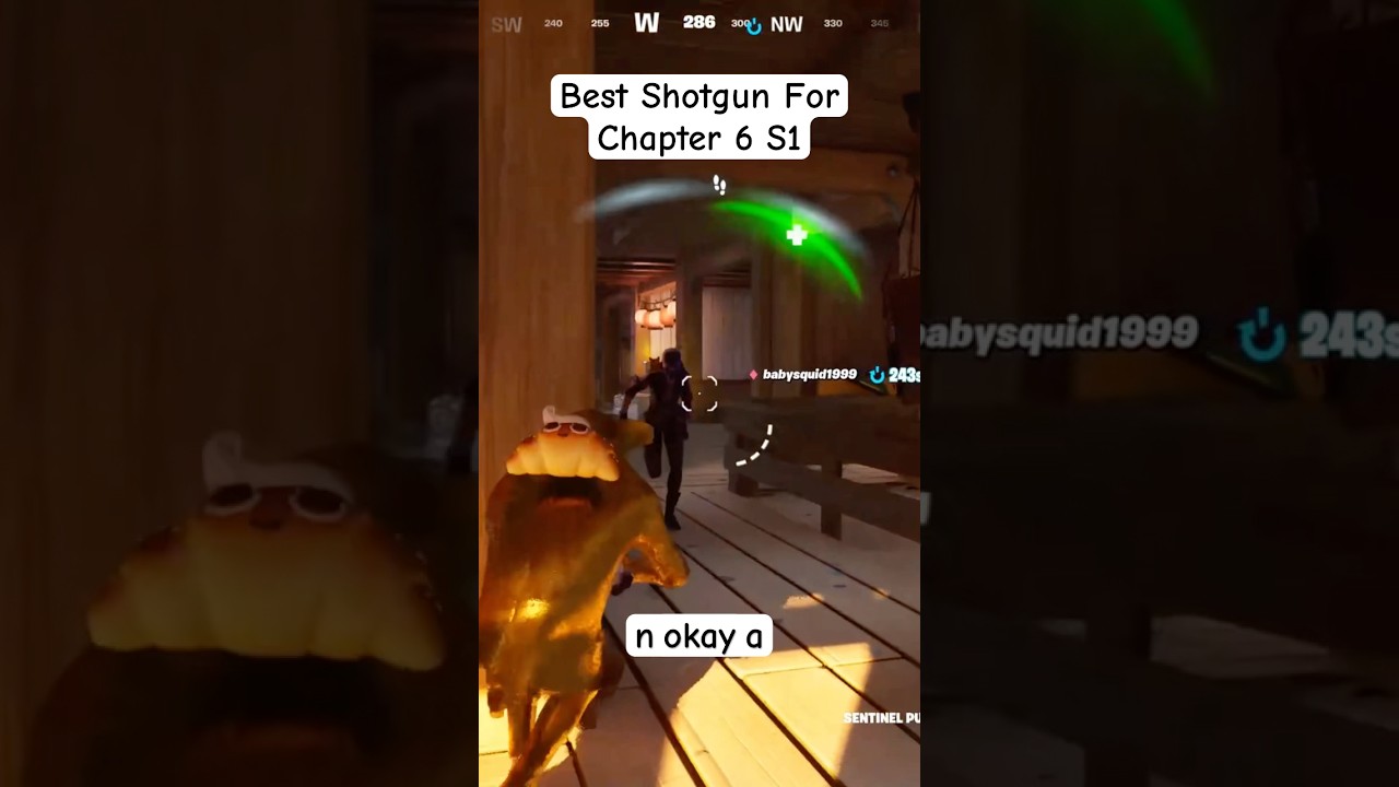 Sentinel pump is the best shot of chapter 6 #fortnite #fortniteupdate # ...
