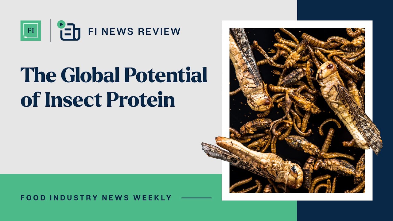 The Global Potential of Insect Protein - YouTube