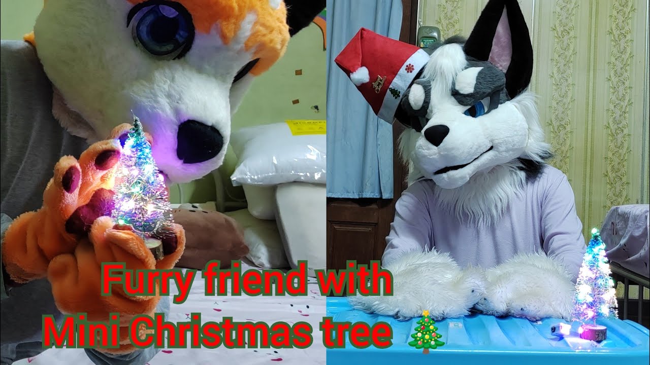 Furry friend with mini Christmas tree 🎄 - YouTube