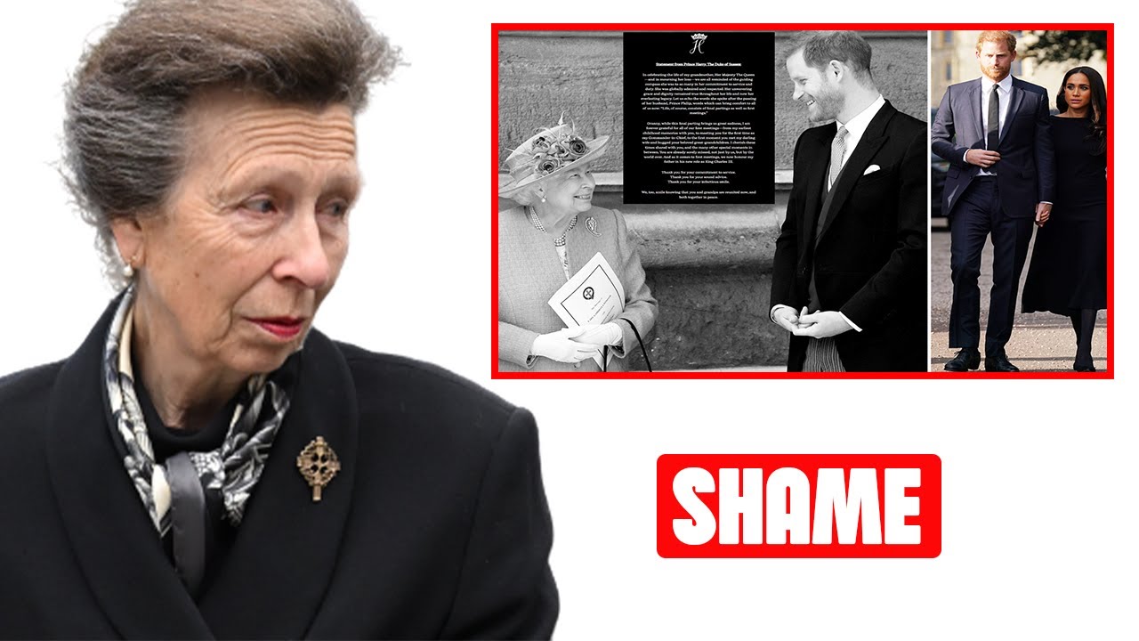 Wrote By His 'Darling Wife'! Princess Anne's Statement Put Harry And ...