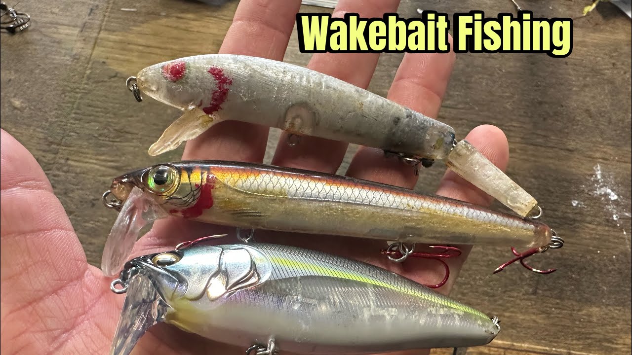 Wakebaits…The Best Kept Early Spring Fishing Secret - YouTube