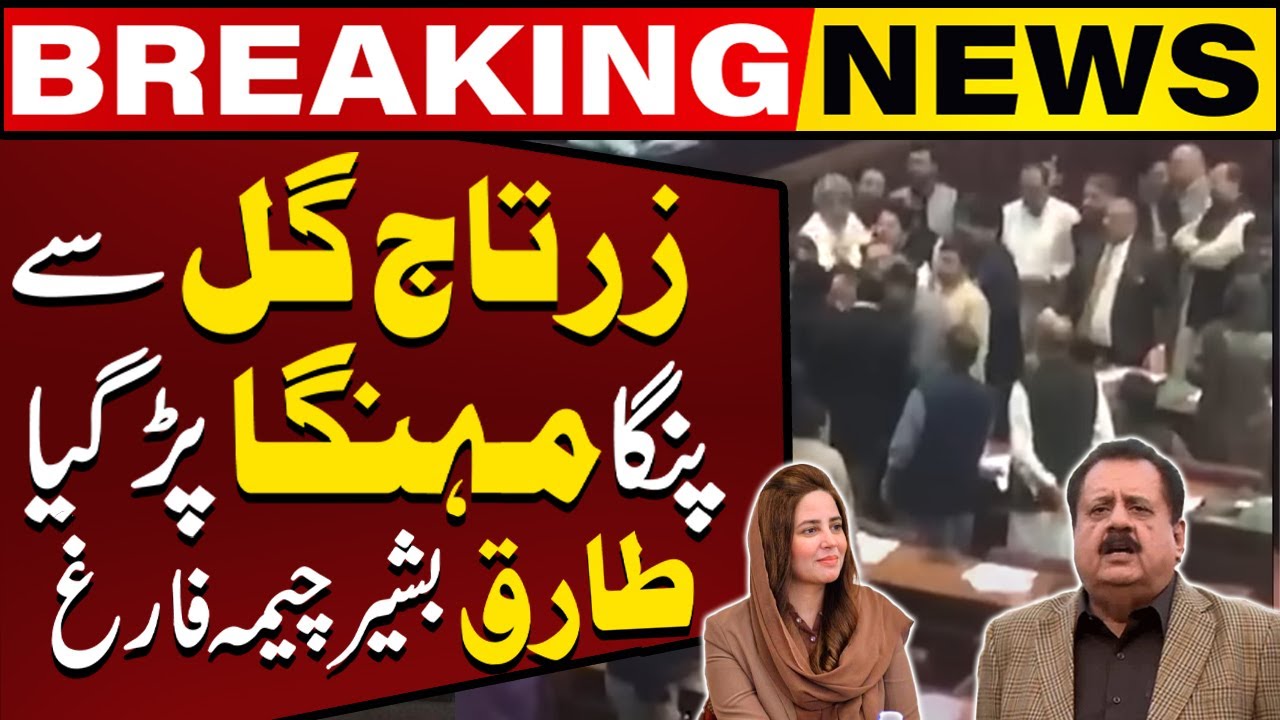 Big Action Against Tariq Bashir Cheema over Fight With Zartaj Gull ...