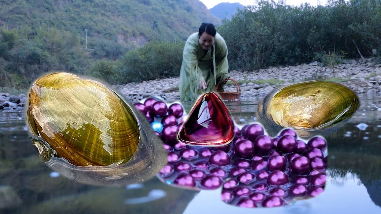 The treasure clam in the pebbles, with countless exquisite pearls on ...