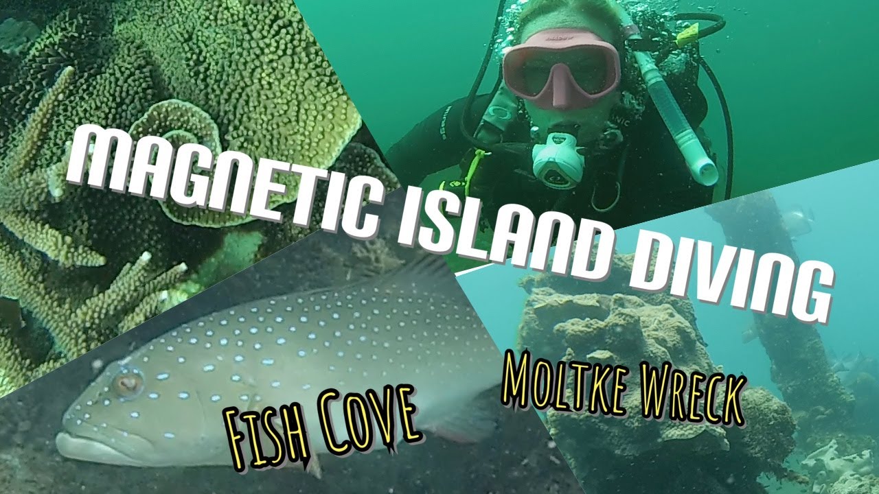 Scuba Diving Magnetic Island || Moltke Wreck & Fish Cove - YouTube